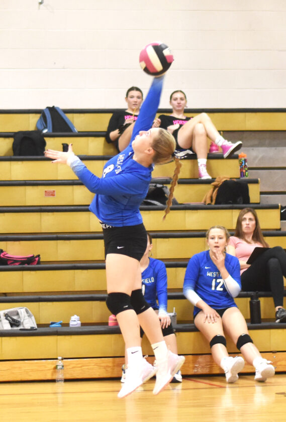 Westfield, Forestville Spike Out Cancer | News, Sports, Jobs - Post Journal